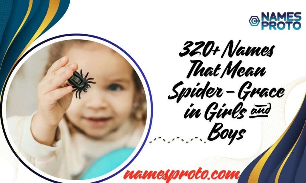 320+ Names That Mean Spider – Grace in Girls and Boys